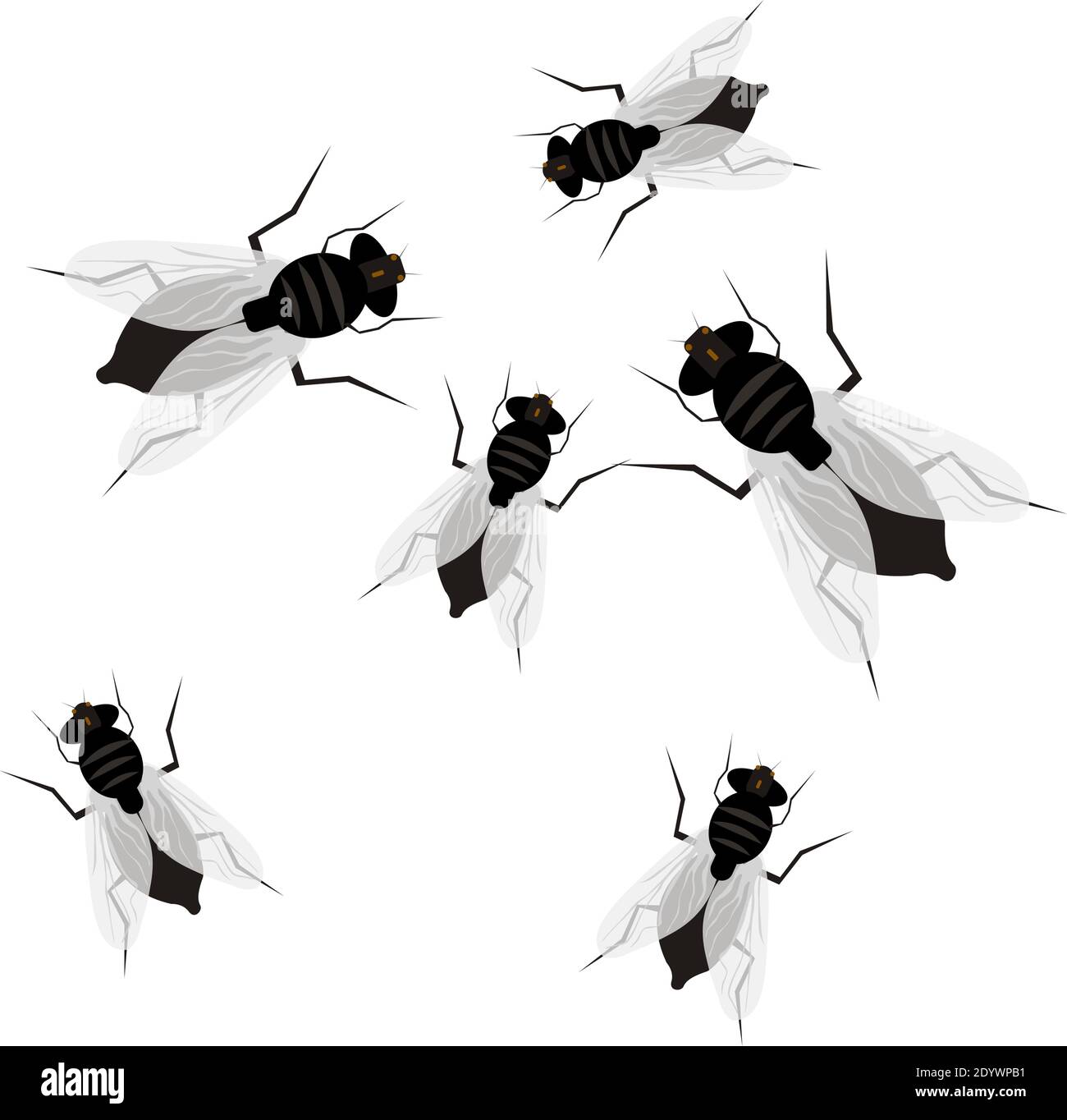 Black flies insect Stock Vector Images - Alamy