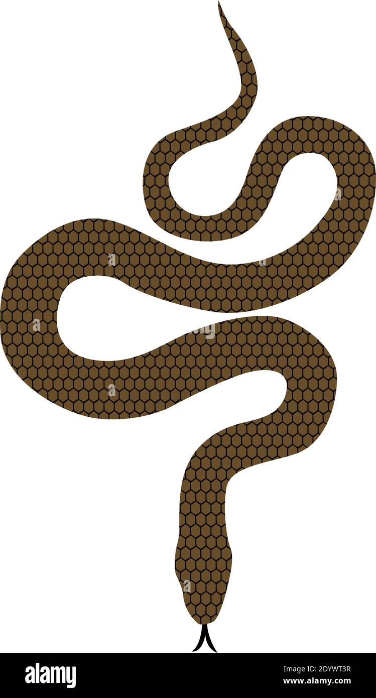 Brown snake, illustration, vector on a white background Stock Vector ...