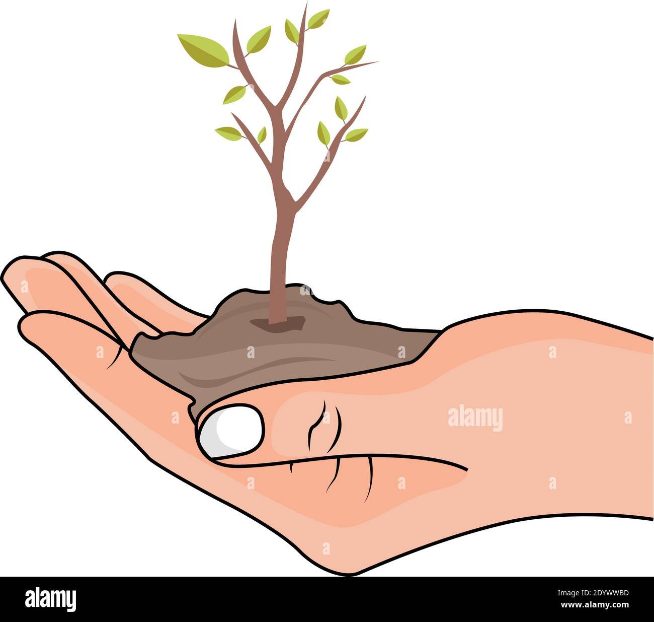 Tree in a hand, illustration, vector on a white background Stock Vector ...