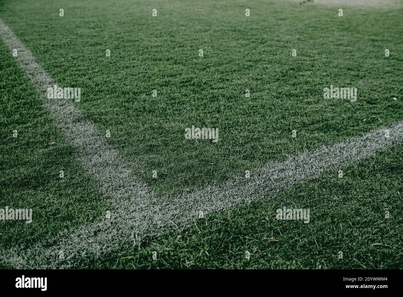 Football is played in green football field for football matches,Soccer ...