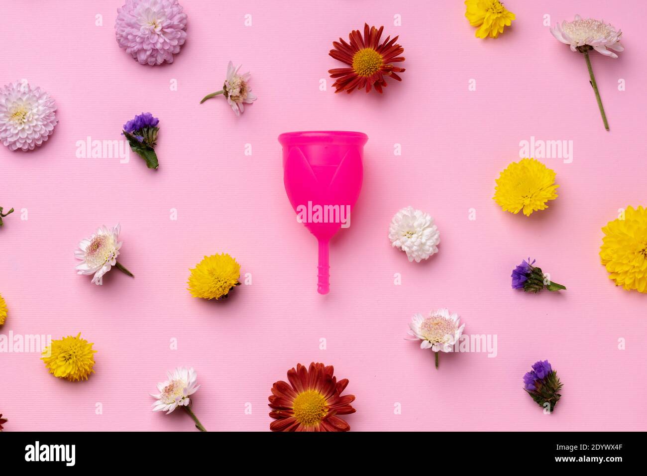 Menstrual cup on floral pattern background top view Stock Photo - Alamy