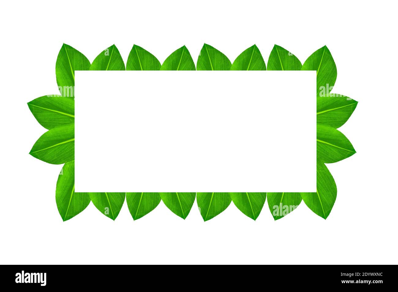 Editable colours hi-res stock photography and images - Alamy