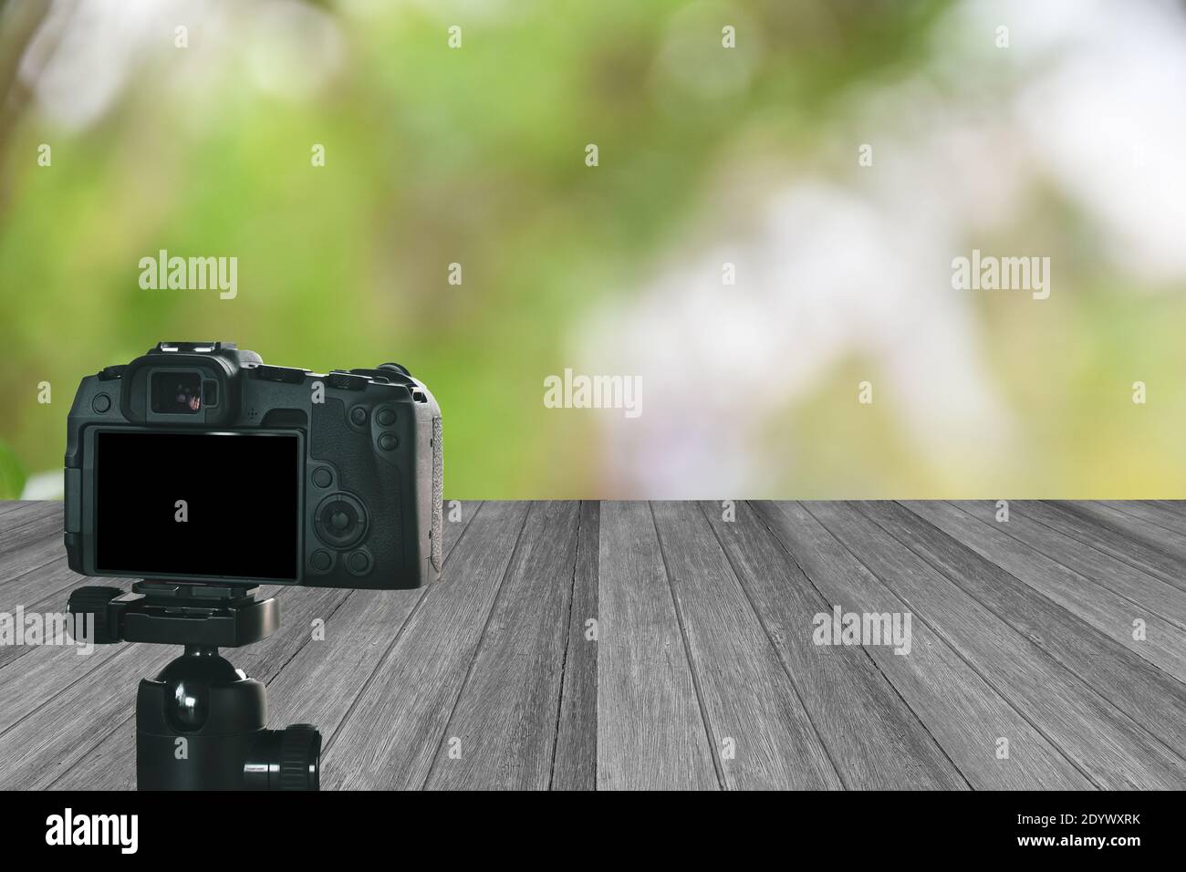 Camera setting take Video blogger at stage background Stock Photo - Alamy