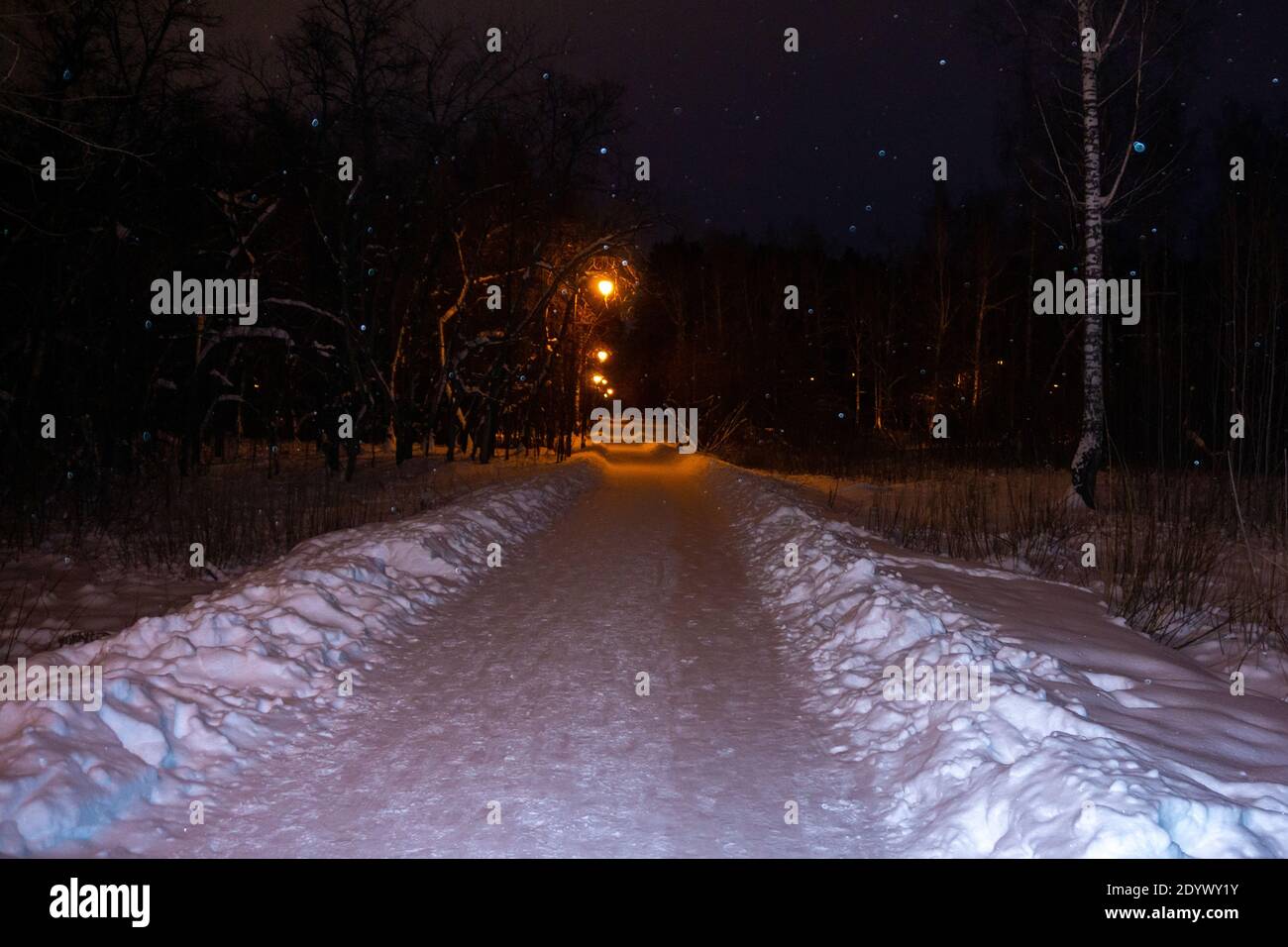 winter alley in the park and shining lanterns. night shot. snowfall ...