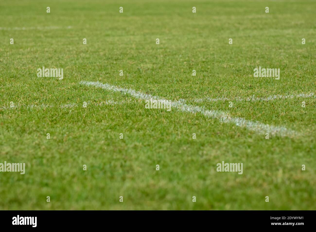 Green glass field for football match absence american football field ...