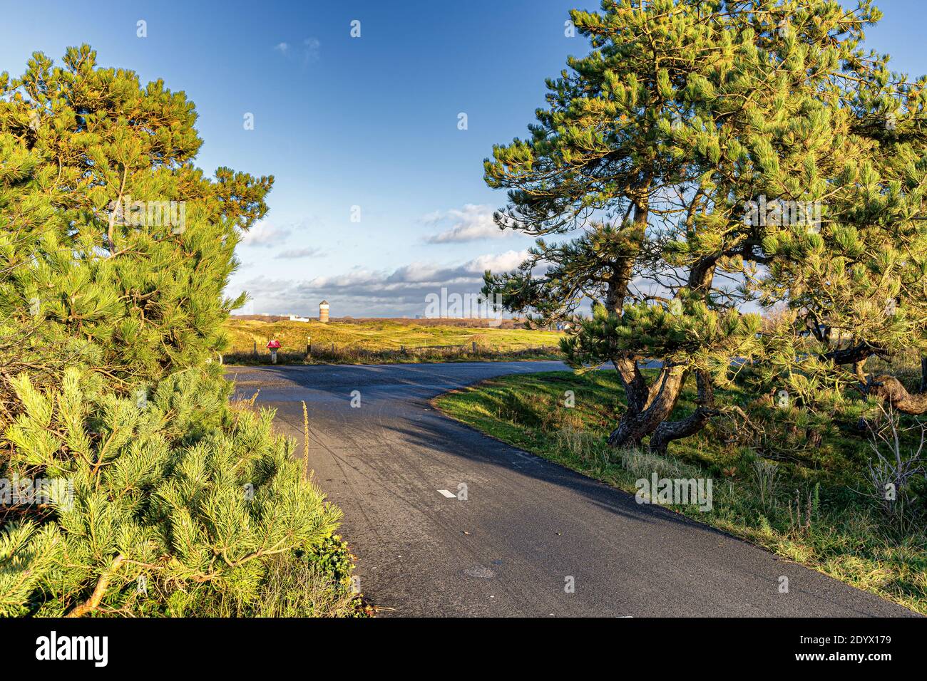 View over the Solleveld dunes and water tower seen from the Schelpenpad ...