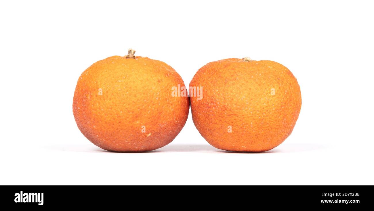 Ordinary old and dry mandarin, isolated on white Stock Photo - Alamy