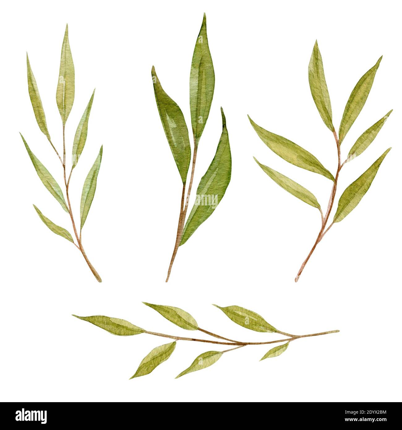 Hand painted leaves hi-res stock photography and images - Alamy