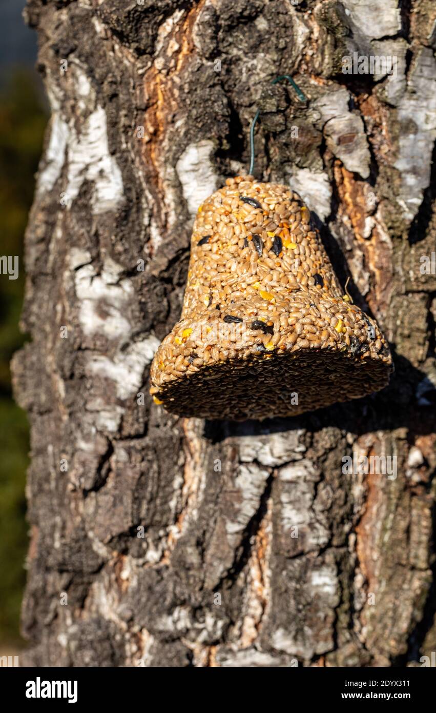 Bell from various grains, a delicacy for all the birds in the garden ...
