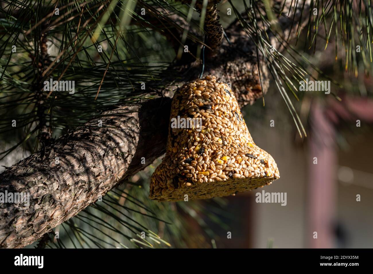 Bell from various grains, a delicacy for all the birds in the garden ...