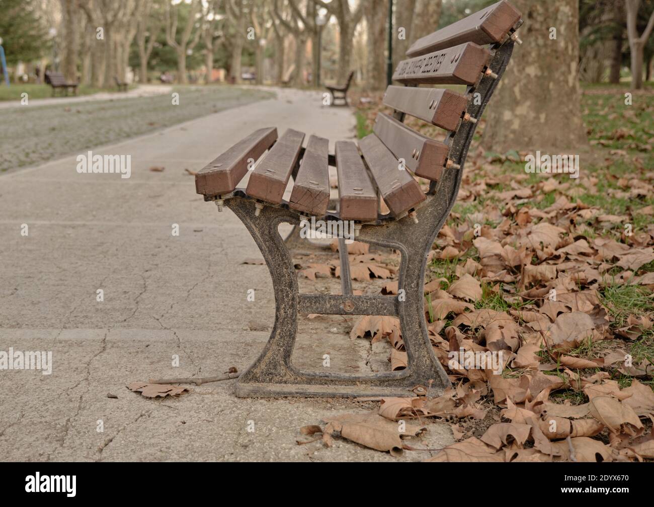 Ancient and retro style street chair made of wood with dried withered ...