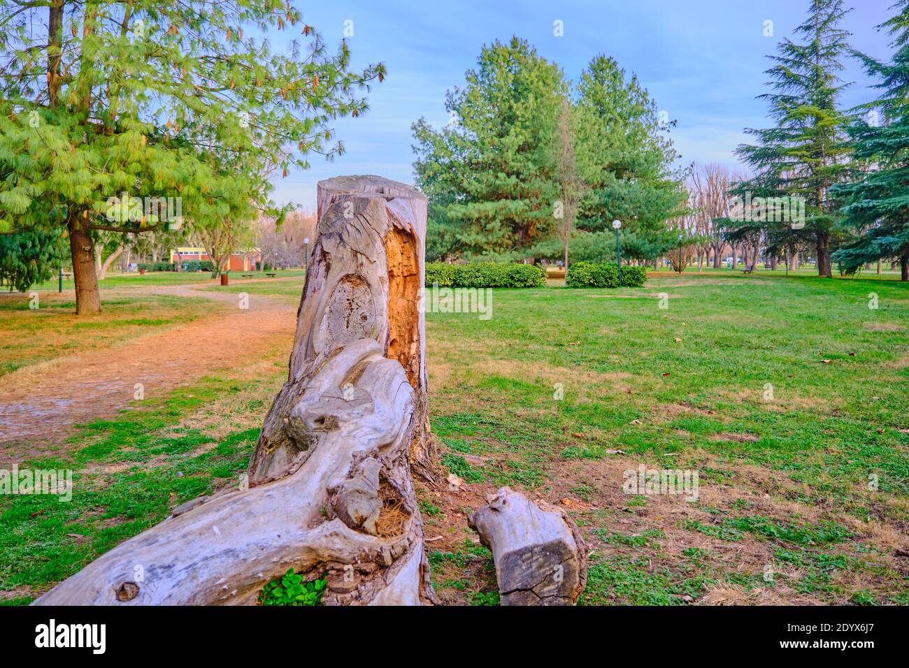 Huge structure wood wooden hi-res stock photography and images - Alamy