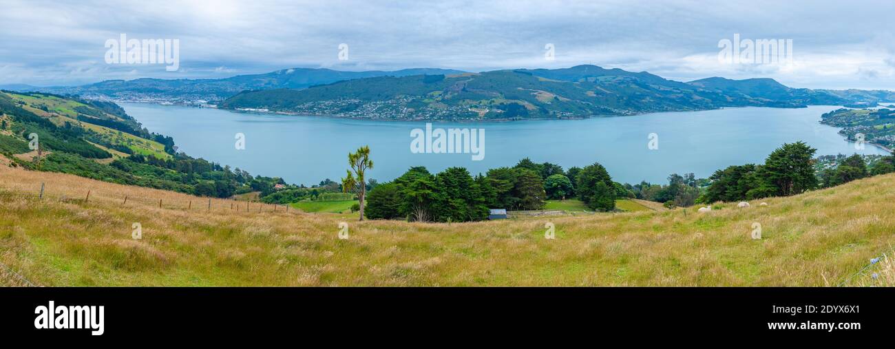 Aerial view of Dunedin in New Zealand Stock Photo - Alamy