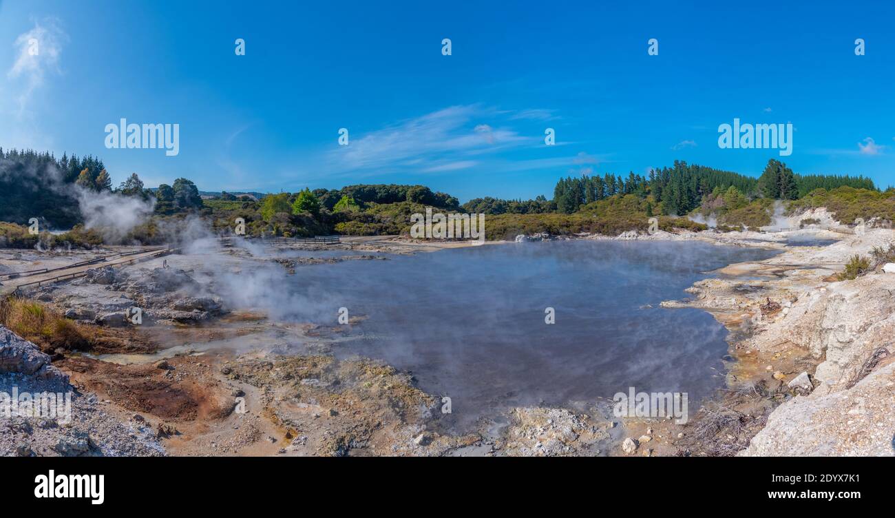Hell's Gate Geothermal Reserve in New Zealand Stock Photo - Alamy