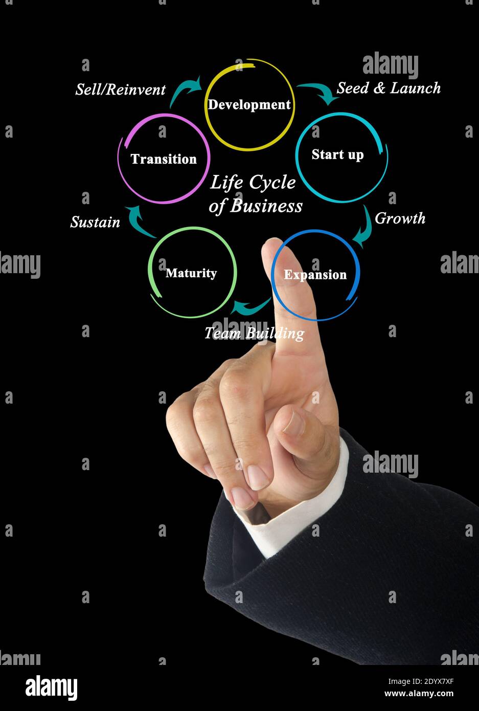 Five stages of Life Cycle of Business Stock Photo - Alamy