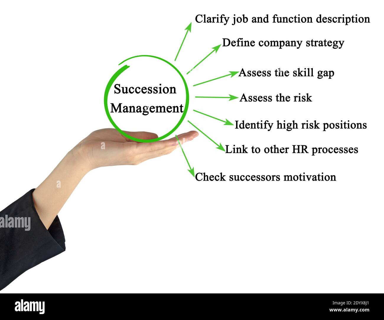 Seven Components of Succession Management Stock Photo - Alamy