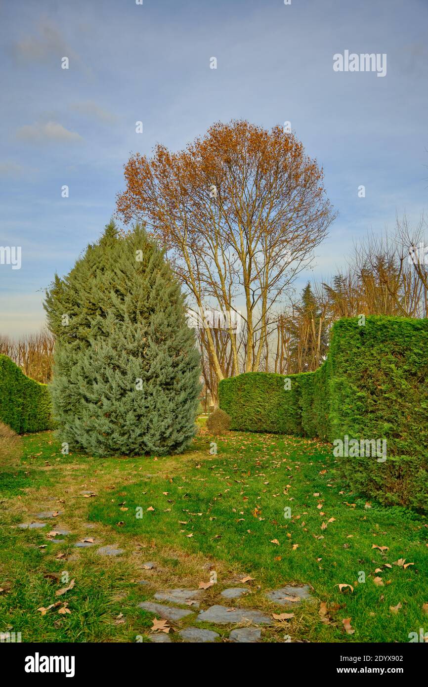 Small paths made of cobblestone around the green grass and magnificent ...