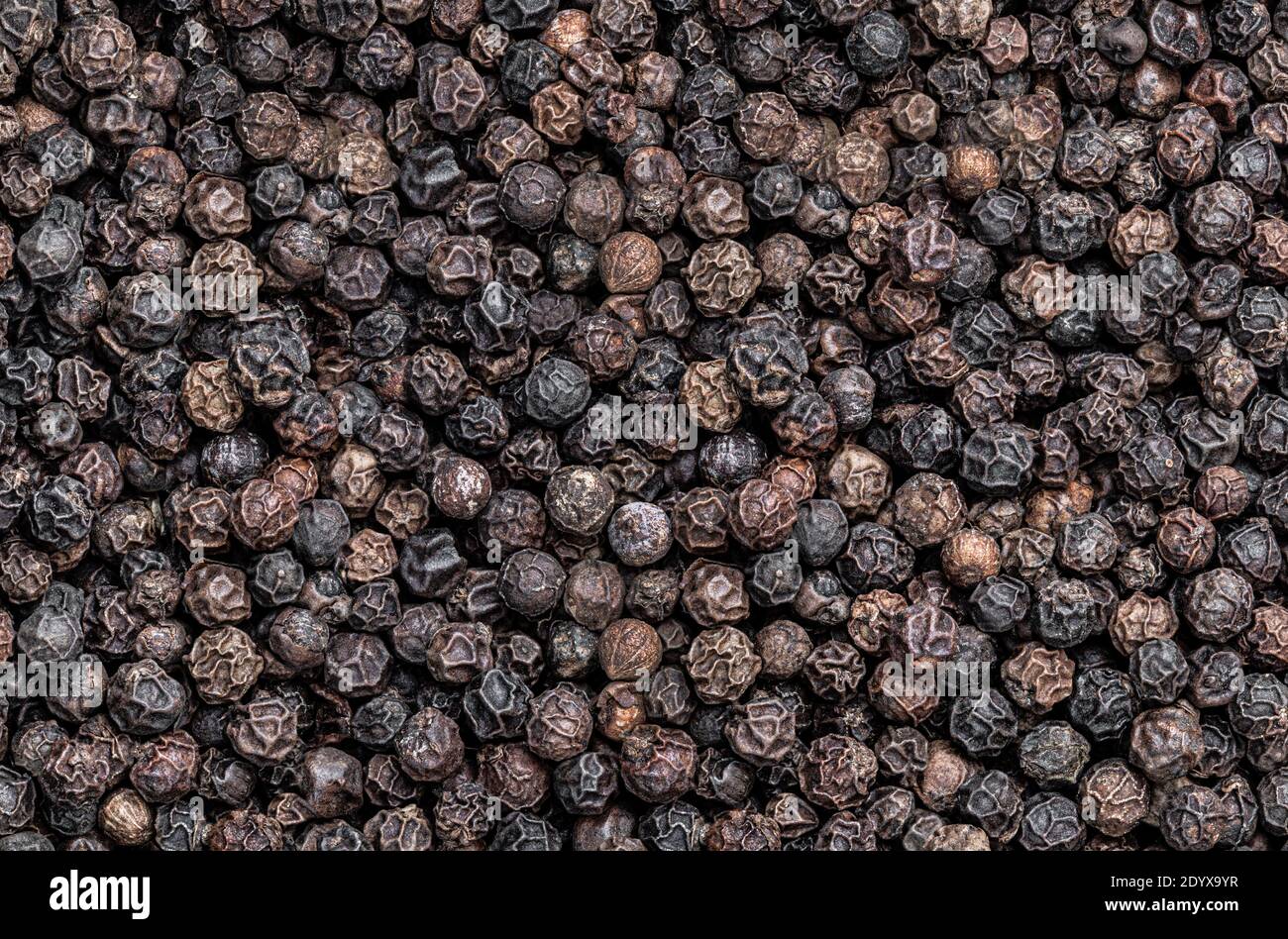 Seamless endless pattern of black pepper corn Stock Photo - Alamy