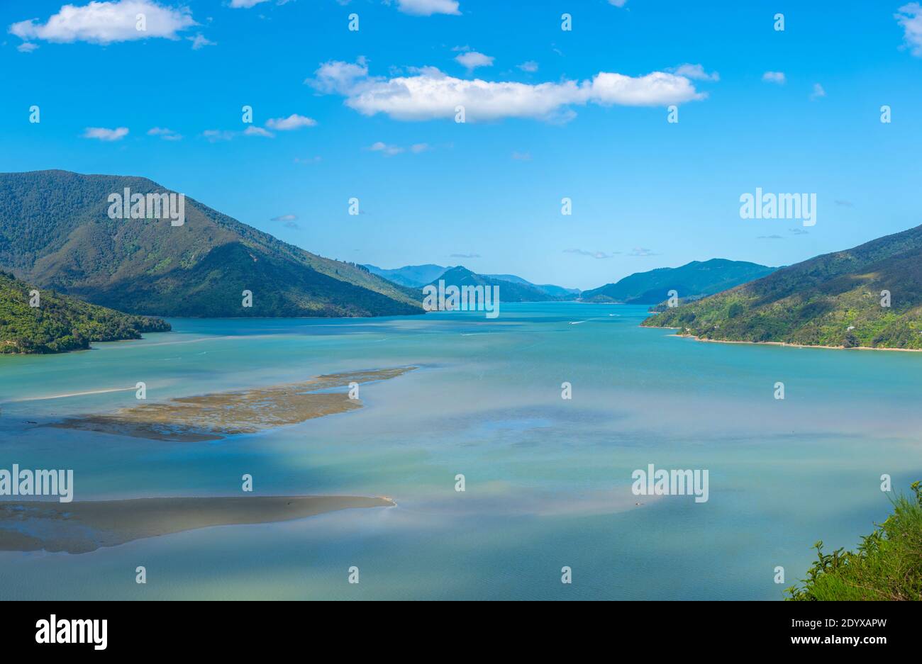 Pelorus sound in New Zealand Stock Photo - Alamy