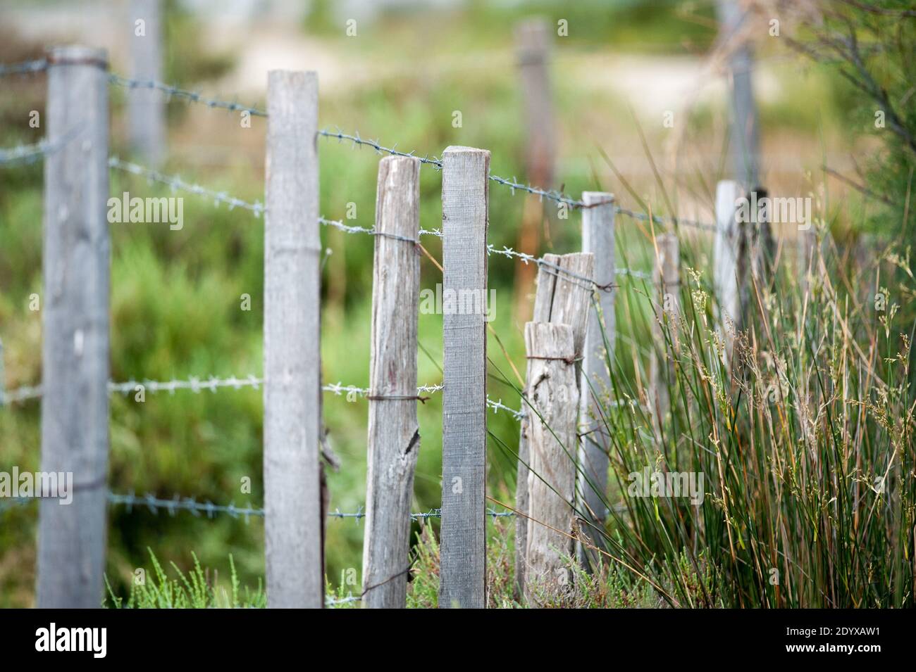 Barbed fence hi-res stock photography and images - Alamy