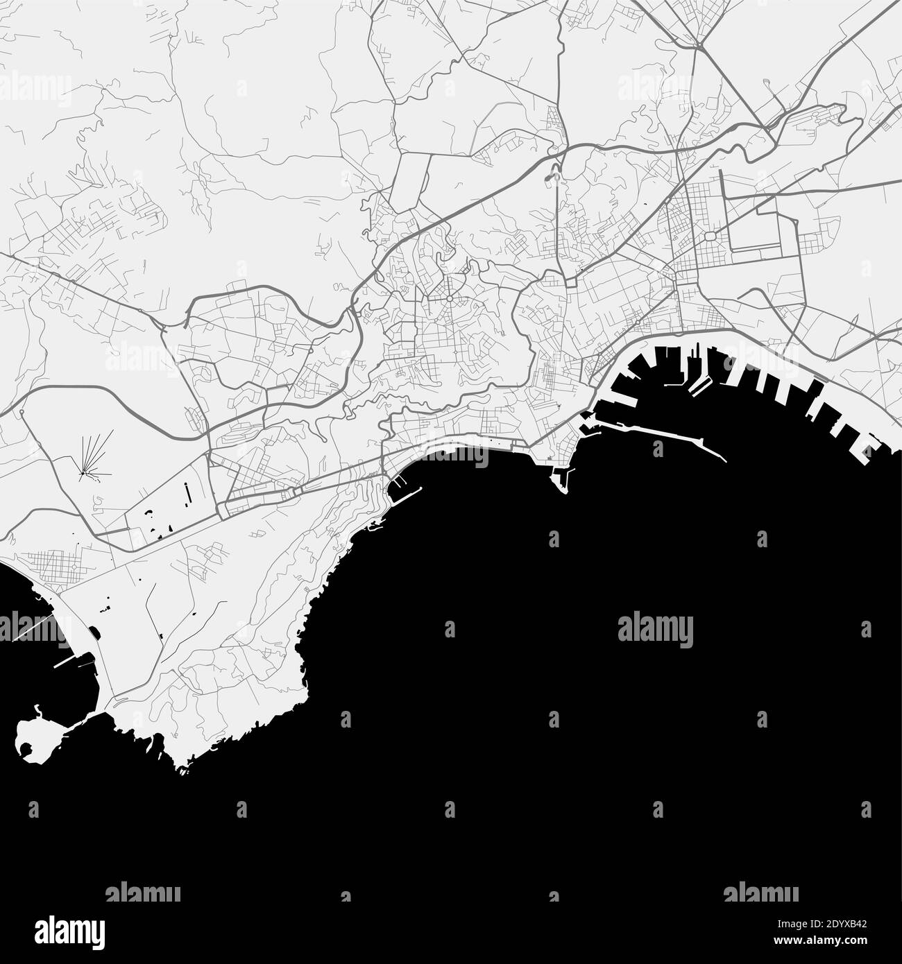 Naples city map poster. Map of Naples street map poster. Naples map ...