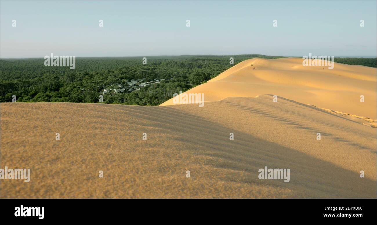 Green forest and village near the desert dunes with sand texture Stock ...
