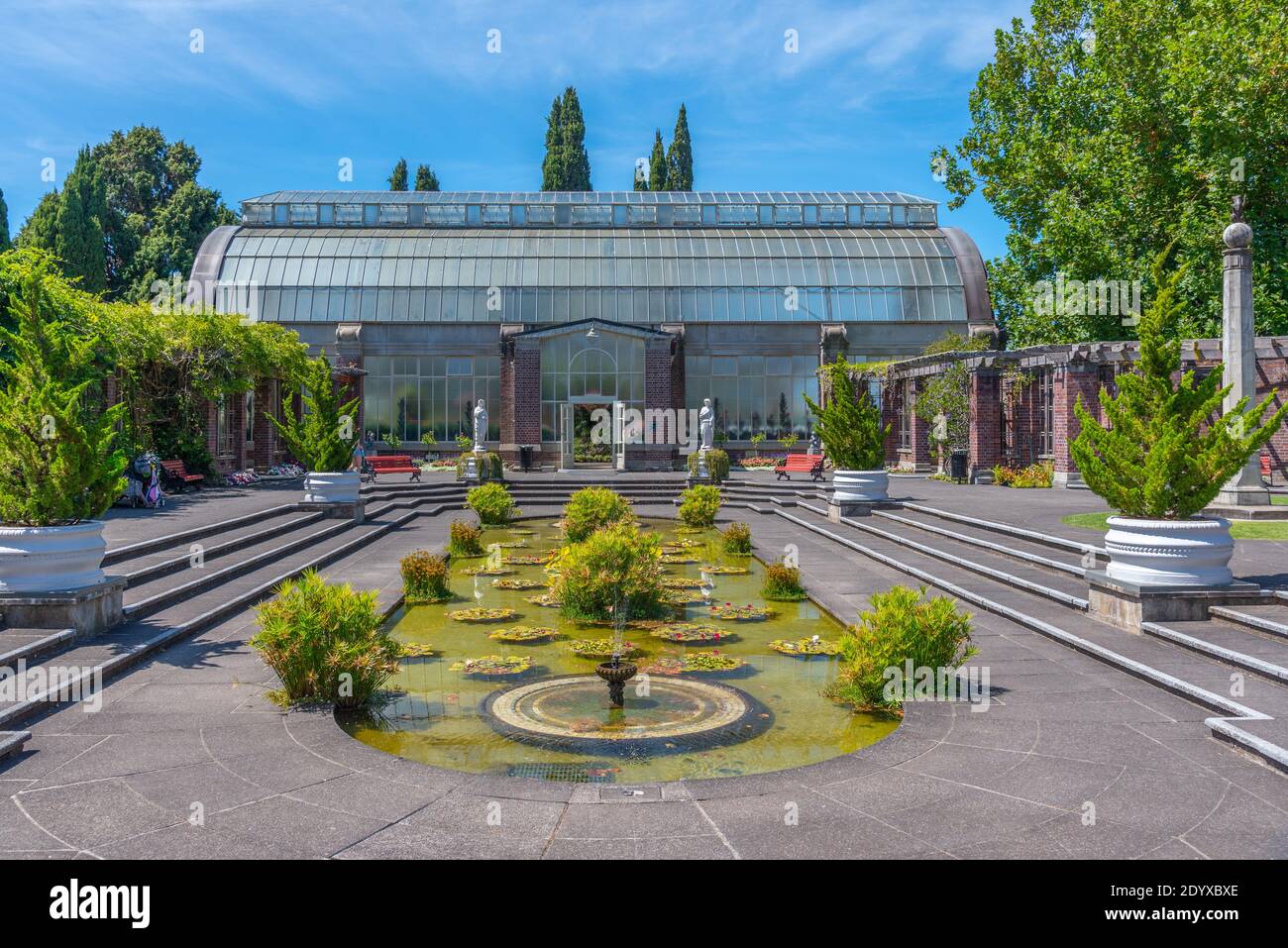 Botanical public domain hi-res stock photography and images - Alamy