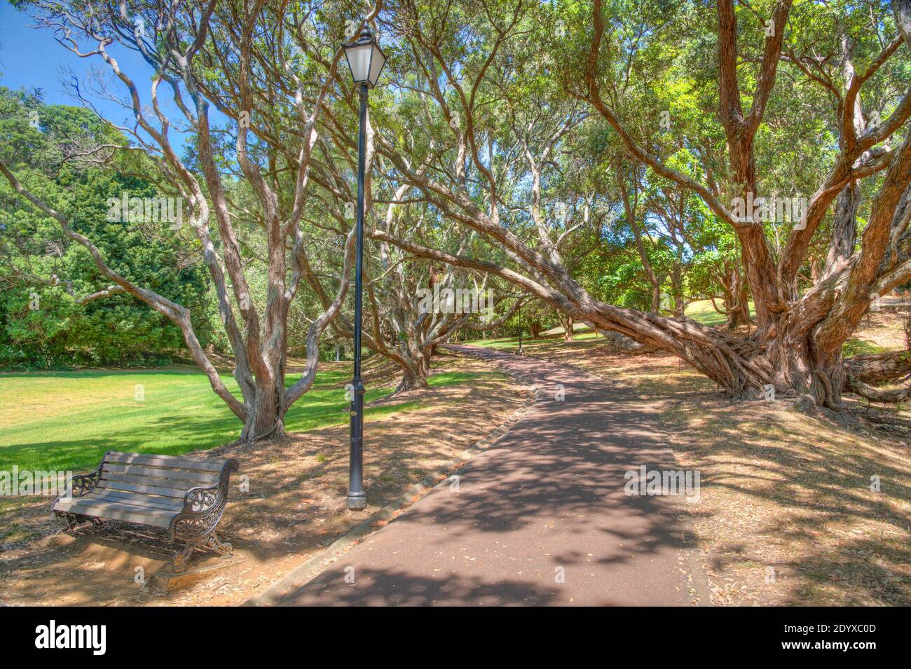 Auckland Domain park in New Zealand Stock Photo - Alamy