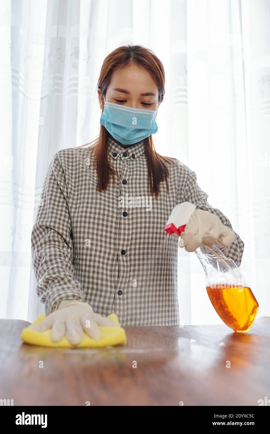 Woman wiping furniture Stock Photo - Alamy