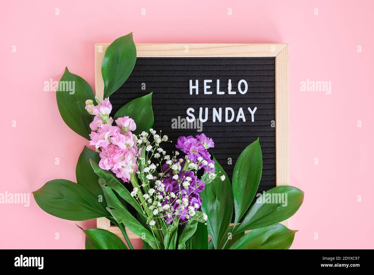 Fl template hi-res stock photography and images - Alamy