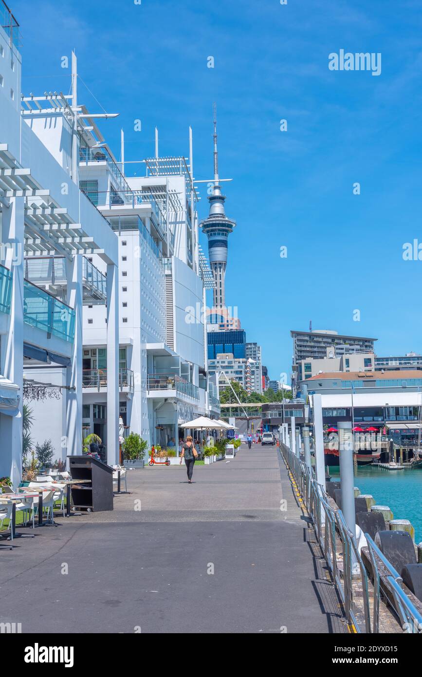 Sky tower view from waterfront of port in Auckland, New Zealand Stock ...