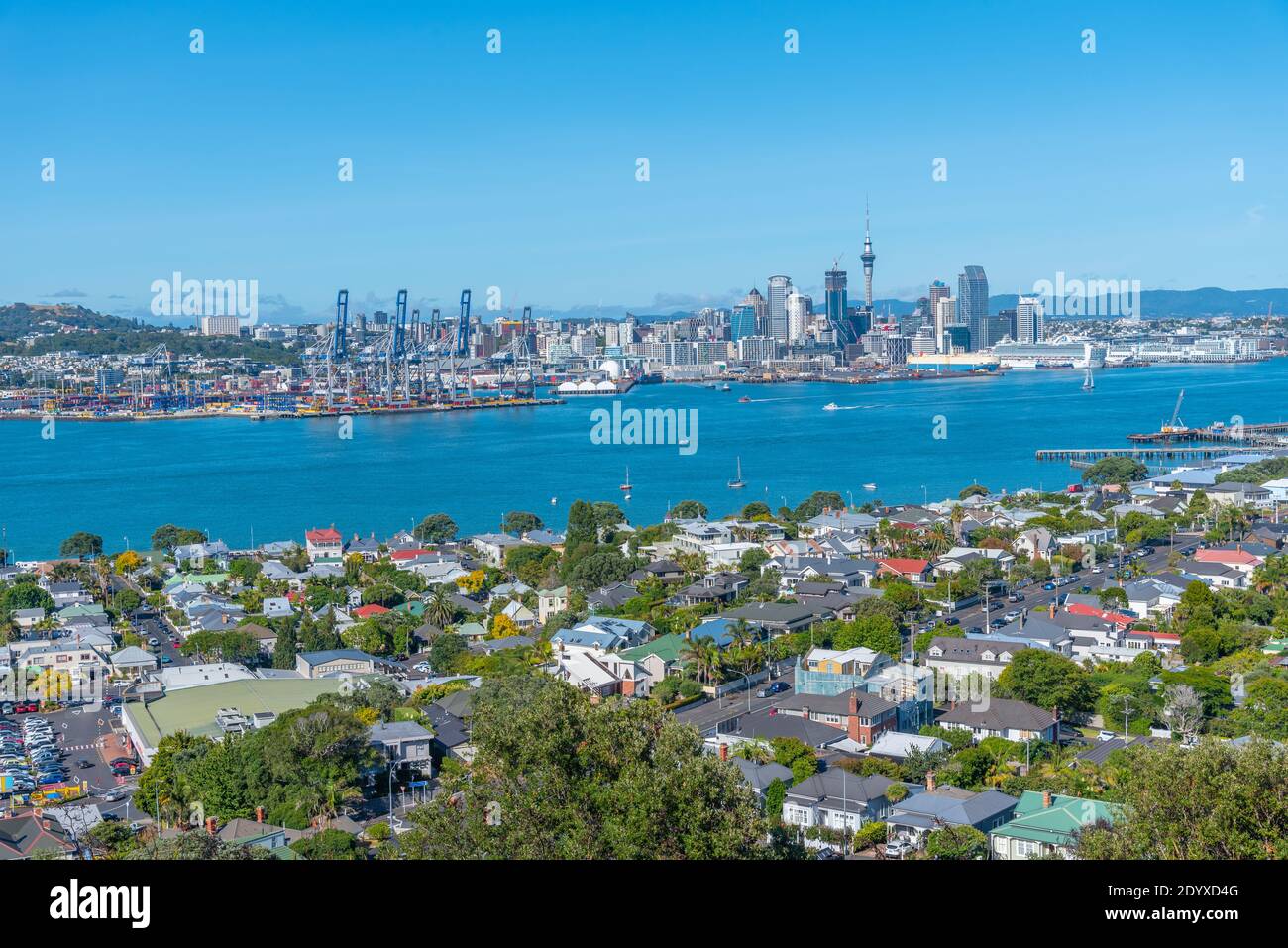 Mount victoria new zealand hi-res stock photography and images - Alamy