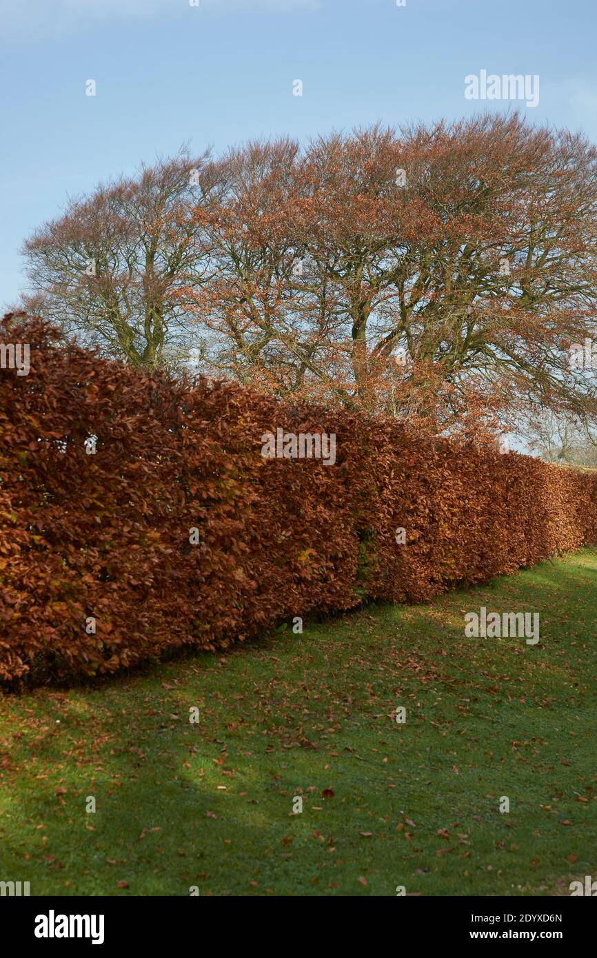 Winter in the Woolley Valley, an Area of Outstanding Natural Beauty in ...