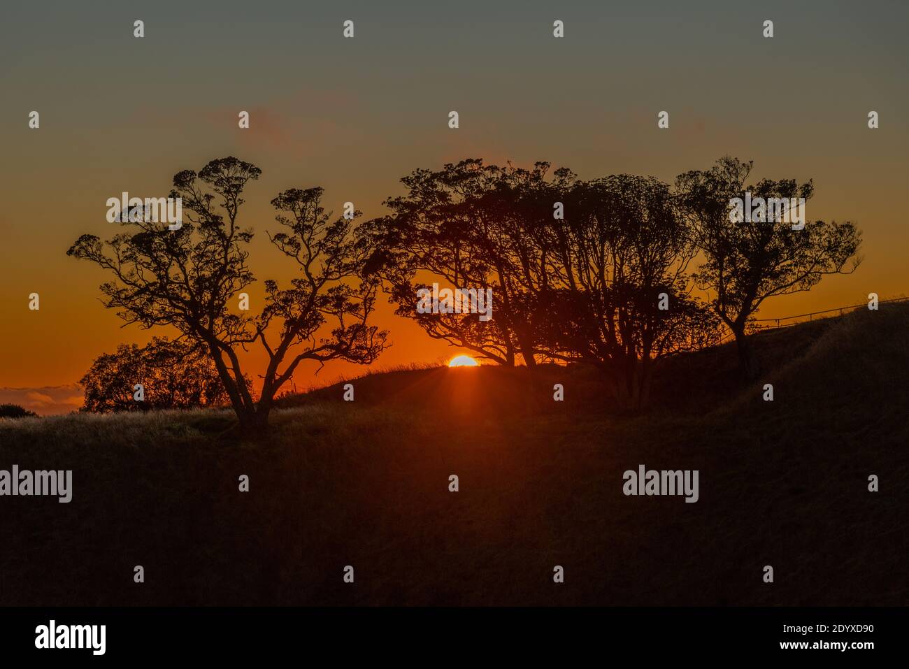 Auckland downtown morning skyline hi-res stock photography and images ...