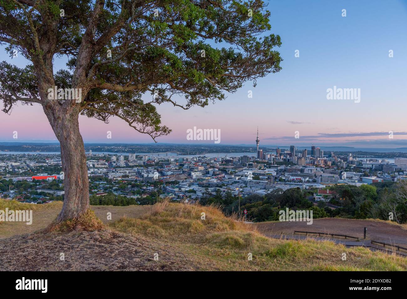 Sunrise view of Auckland from Mount Eden, New Zealand Stock Photo - Alamy