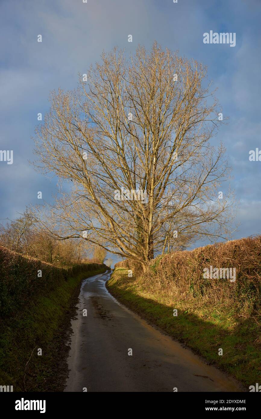 Winter in the Woolley Valley, an Area of Outstanding Natural Beauty in ...