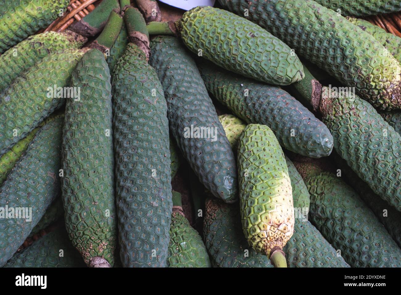 Monster fruit hi-res stock photography and images - Alamy