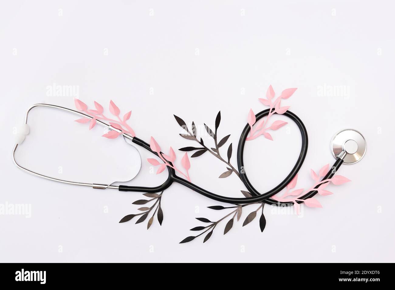 stethoscope for medical doctor health with white and black paper flower ...