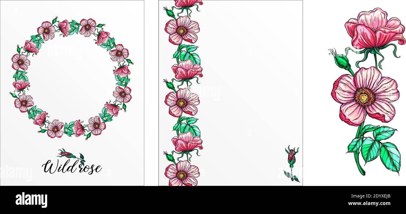 a set of postcards with rose flowers. Pink flowers. Rose Stock Vector ...