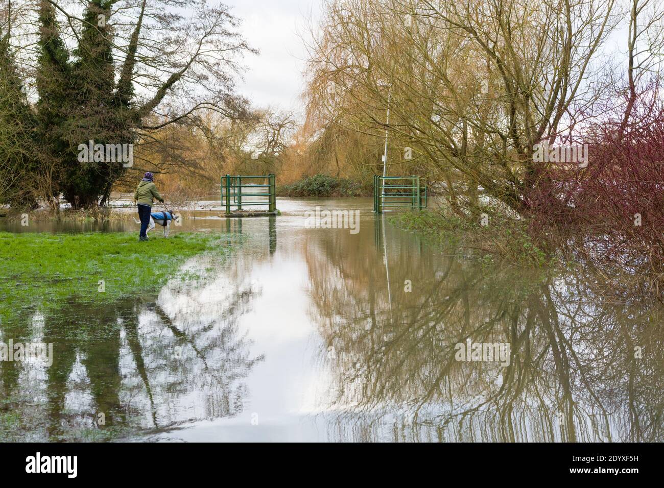 The River Little Ouse floods at Haling Path, Thetford, between Thetford ...