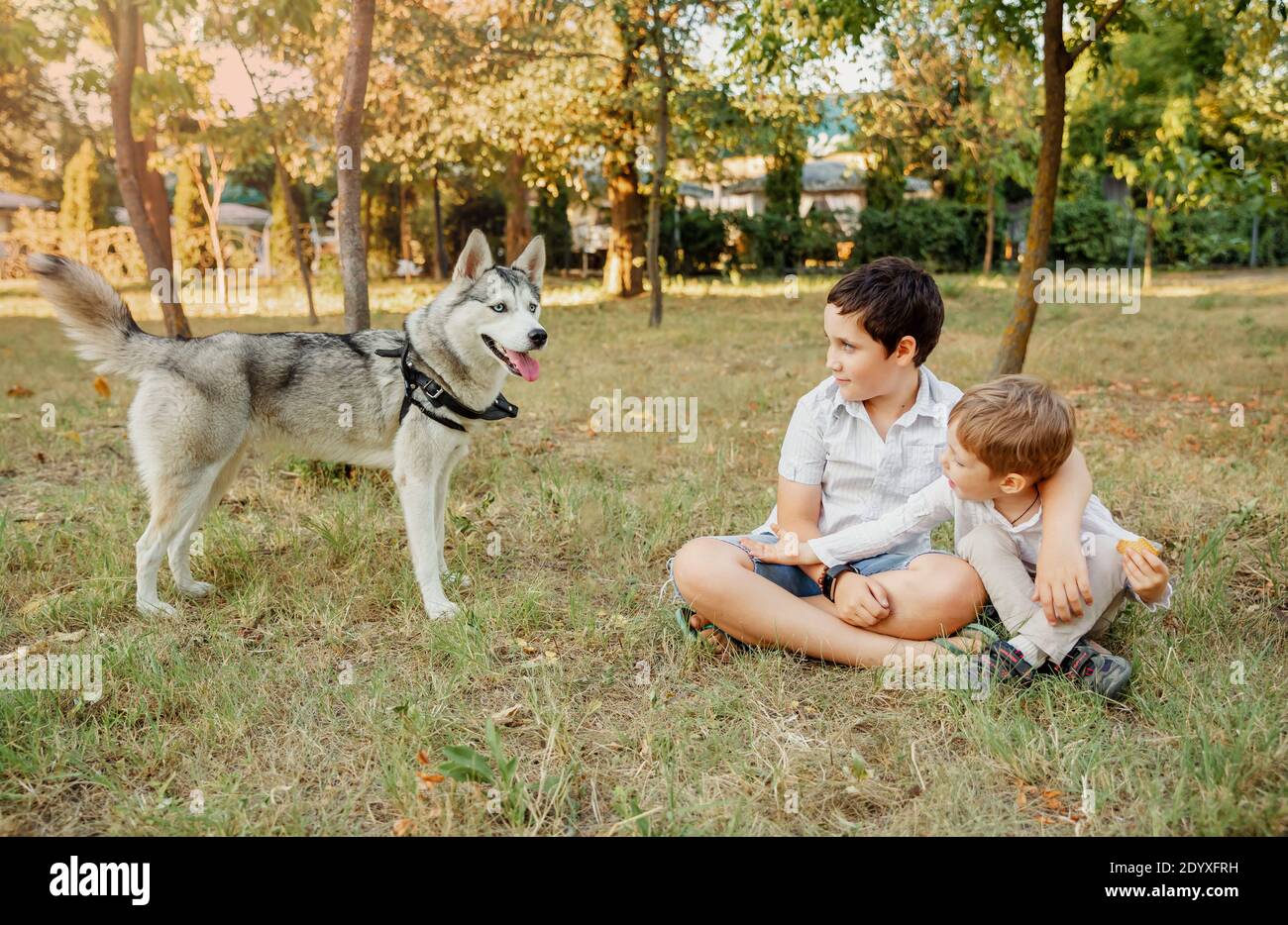 Little boys lovingly hugging his pet dog. Active healthy lifestyle ...