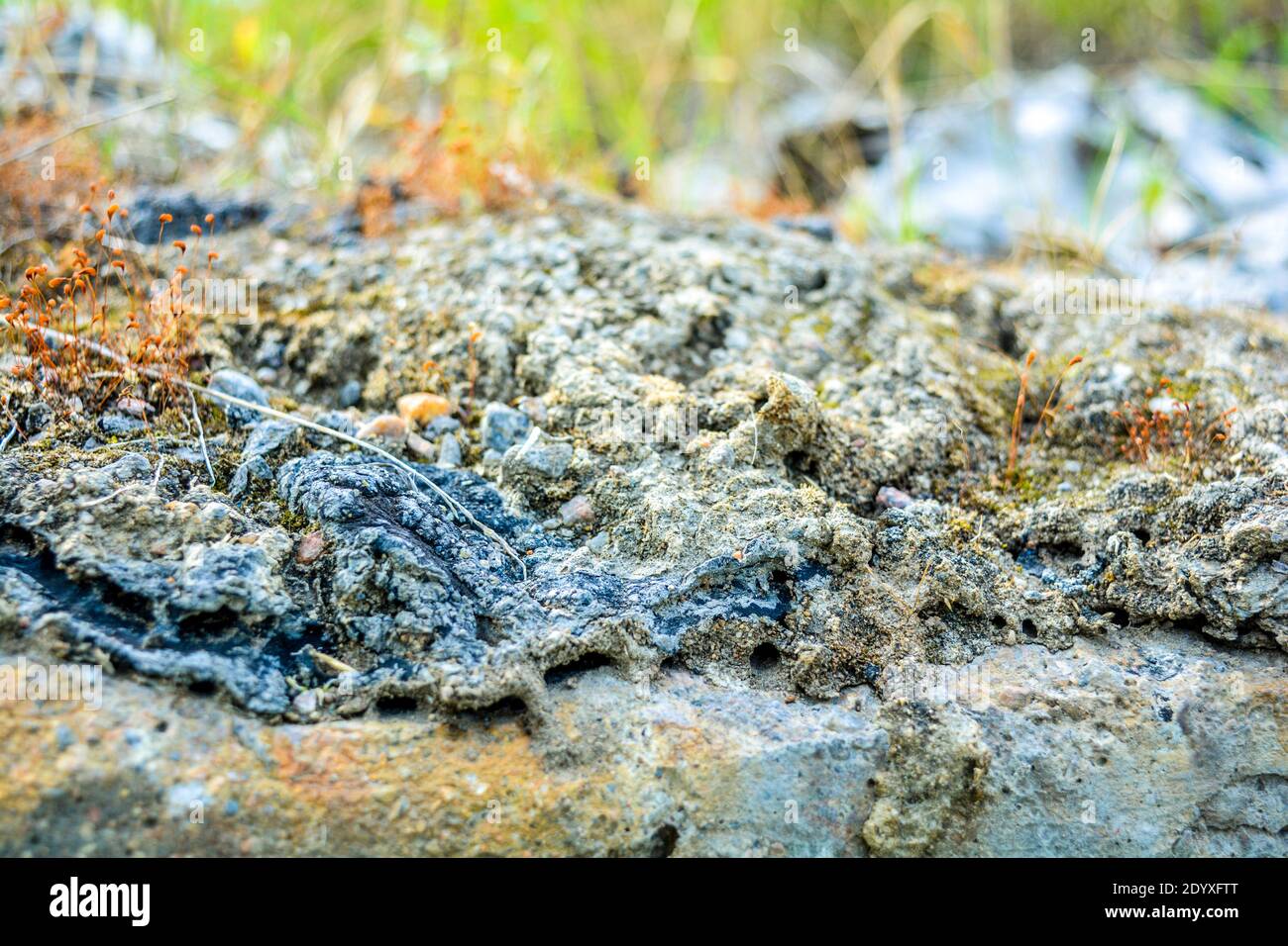 Old rusty concrete slab side view with soil layers and moss plantation ...