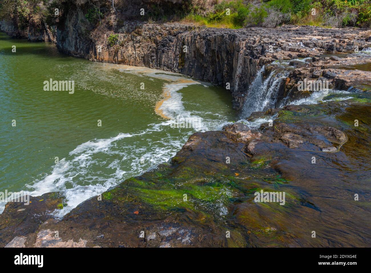 Haruru falls in New Zealand Stock Photo - Alamy