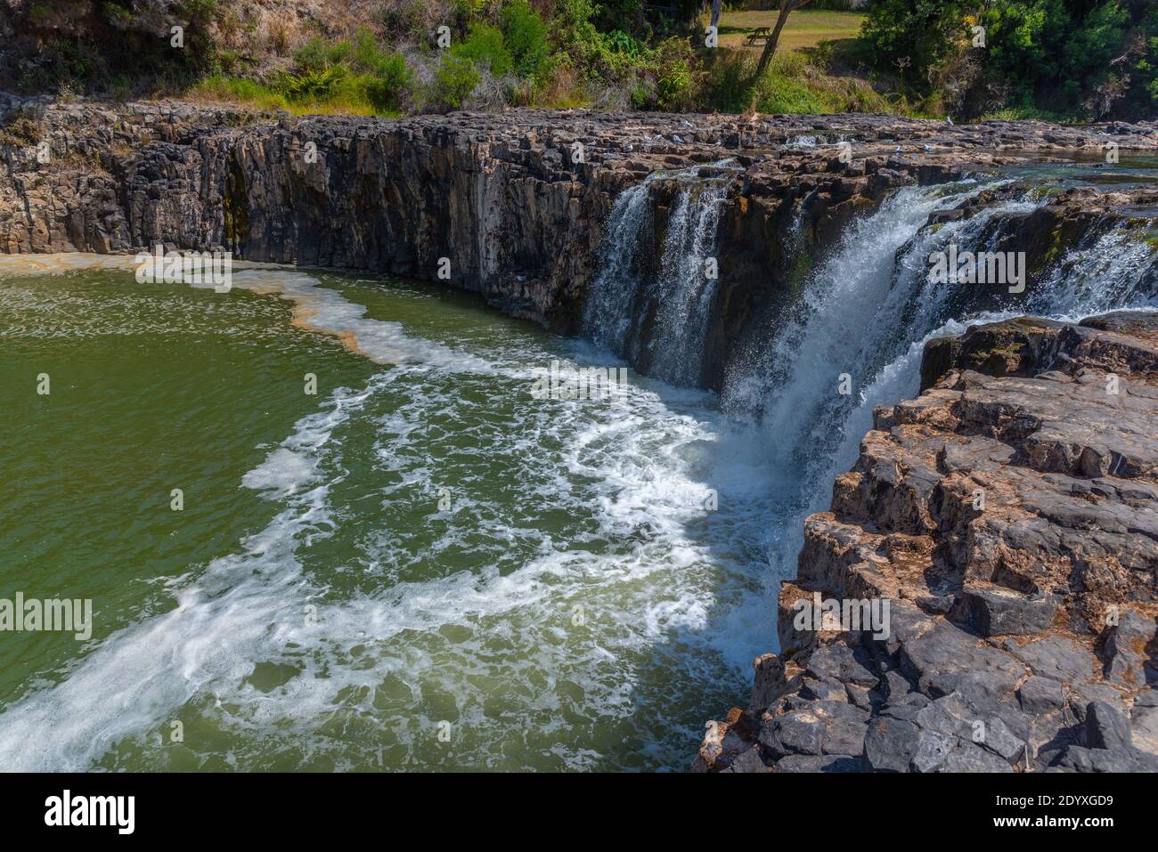 Haruru falls in New Zealand Stock Photo - Alamy