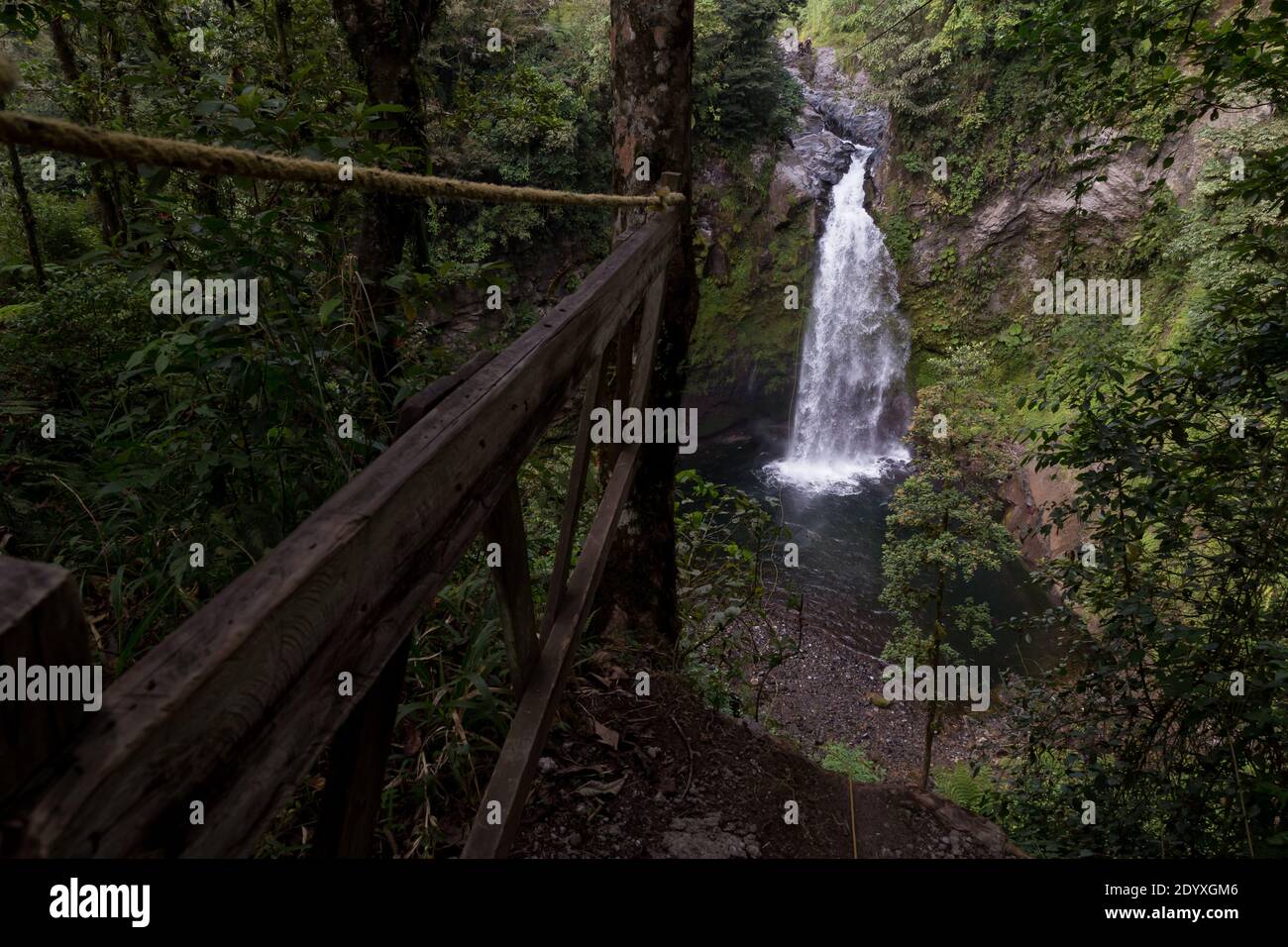 Majestic view of a dense summer jungle with a flowing fresh waterfall ...