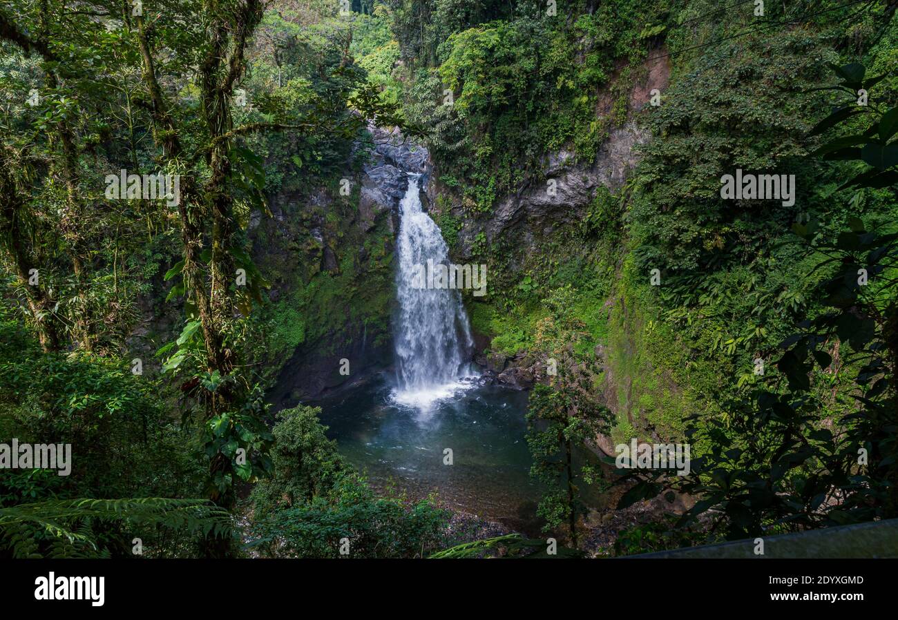 Majestic view of a dense summer jungle with a flowing fresh waterfall ...
