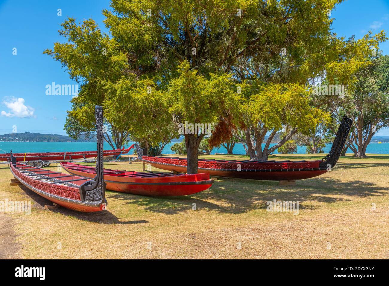 Maori war canoe at Waitangi treaty grounds in New Zealand Stock Photo ...
