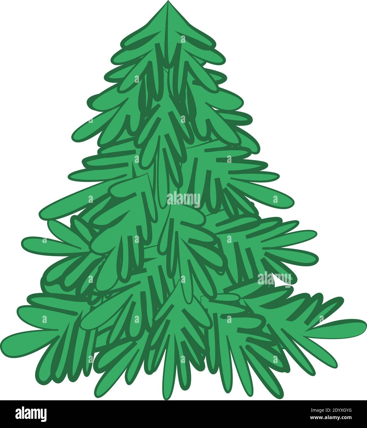 Green lush spruce on a white background. Vector fir tree for New Year ...