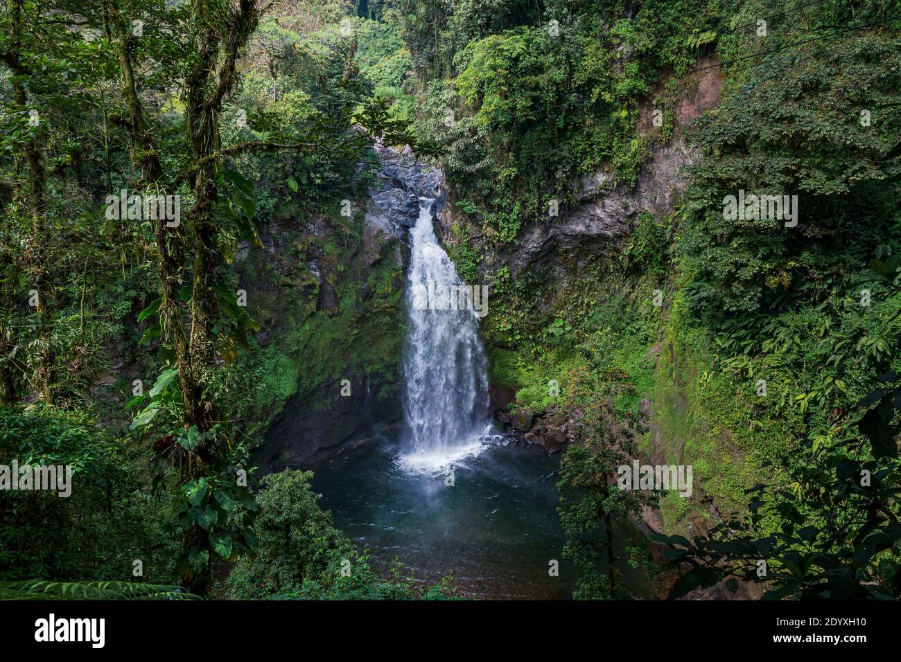 Beautiful shot of a waterfall flowing through a missy rough cliff in ...