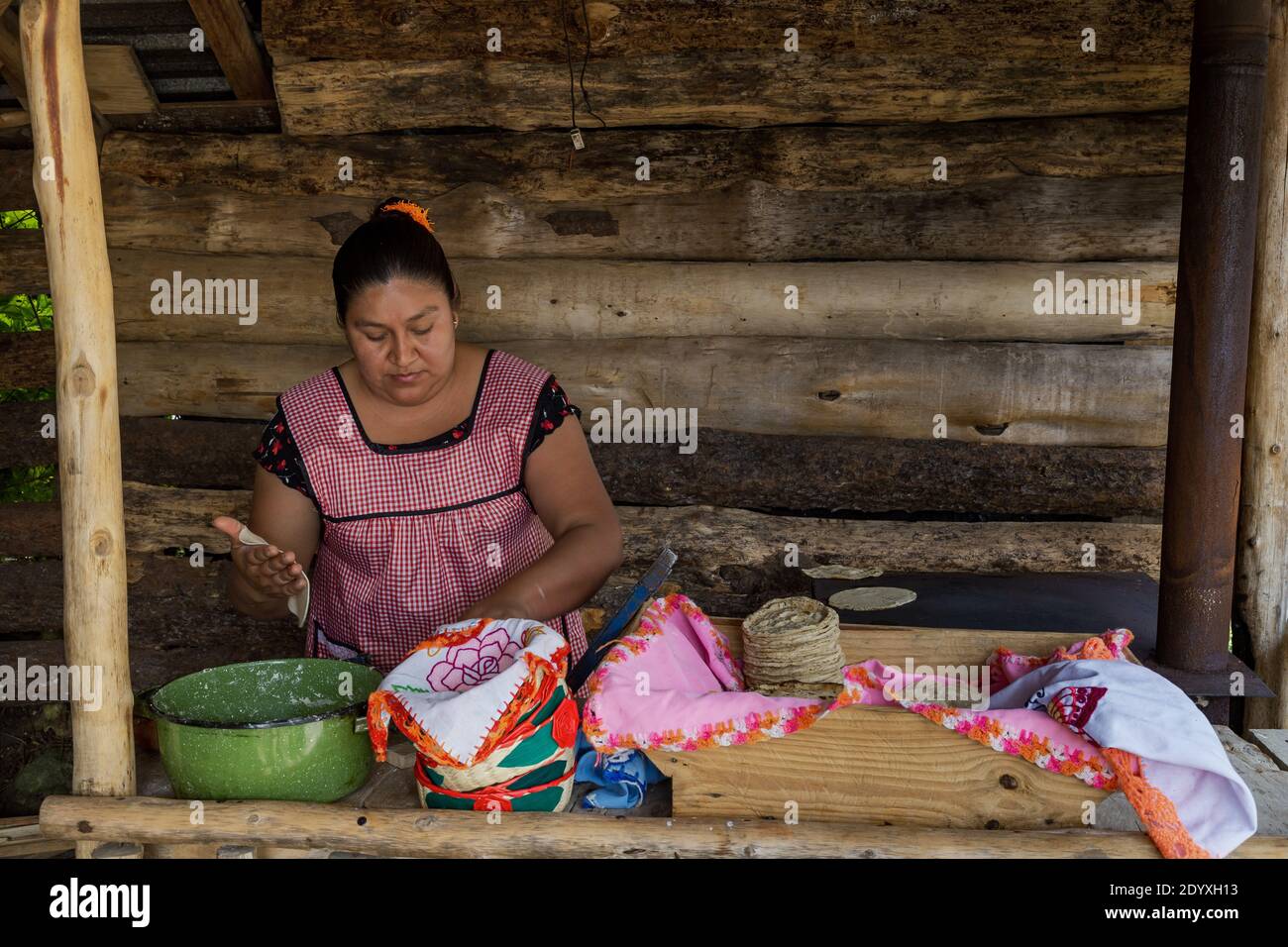 Hispanic woman in an apron preparing traditional Mexican tortillas in ...